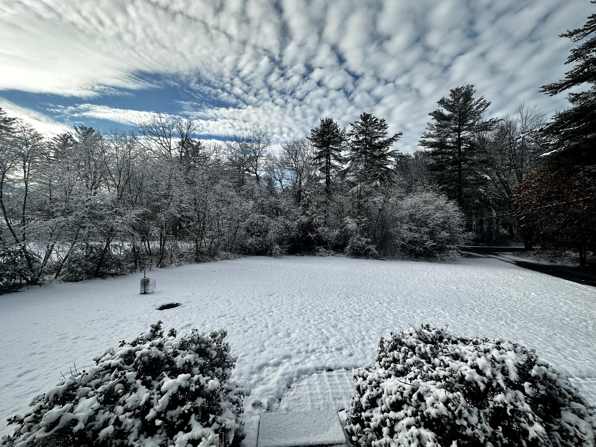 ️Snow 01-07-2023 - Graham English