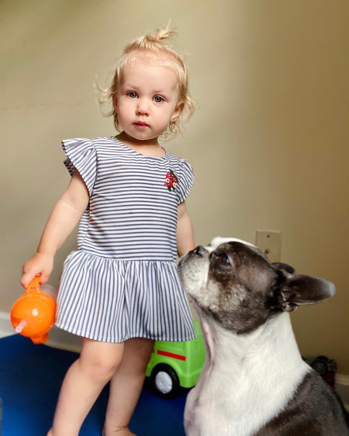 Cute overload - Graham English