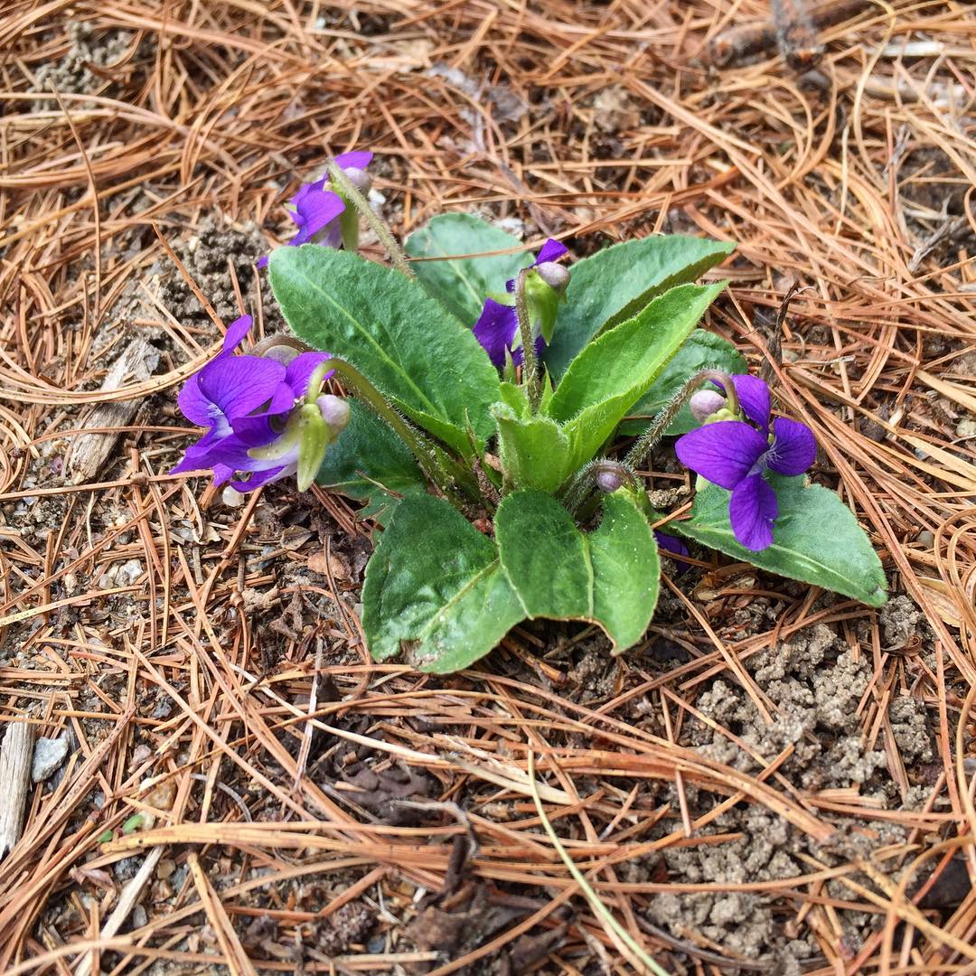 Beginning to feel hope - Graham English