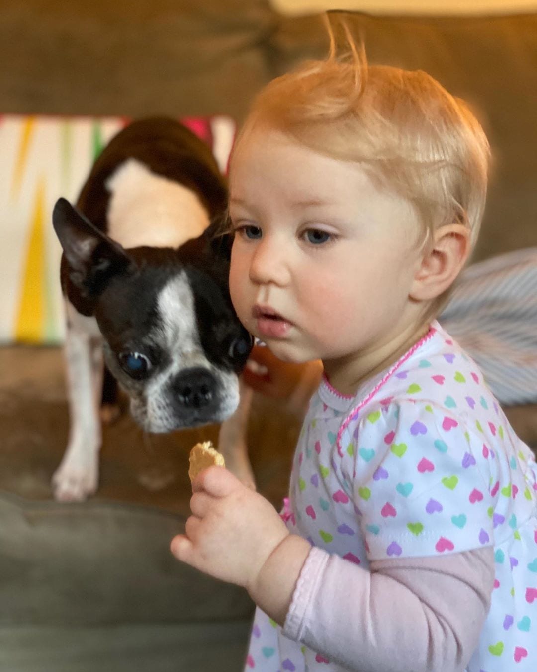 Happy birthday, Violet! ️ - Graham English